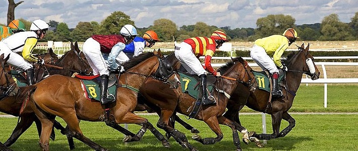 Horse racing punter wins nearly €5,000